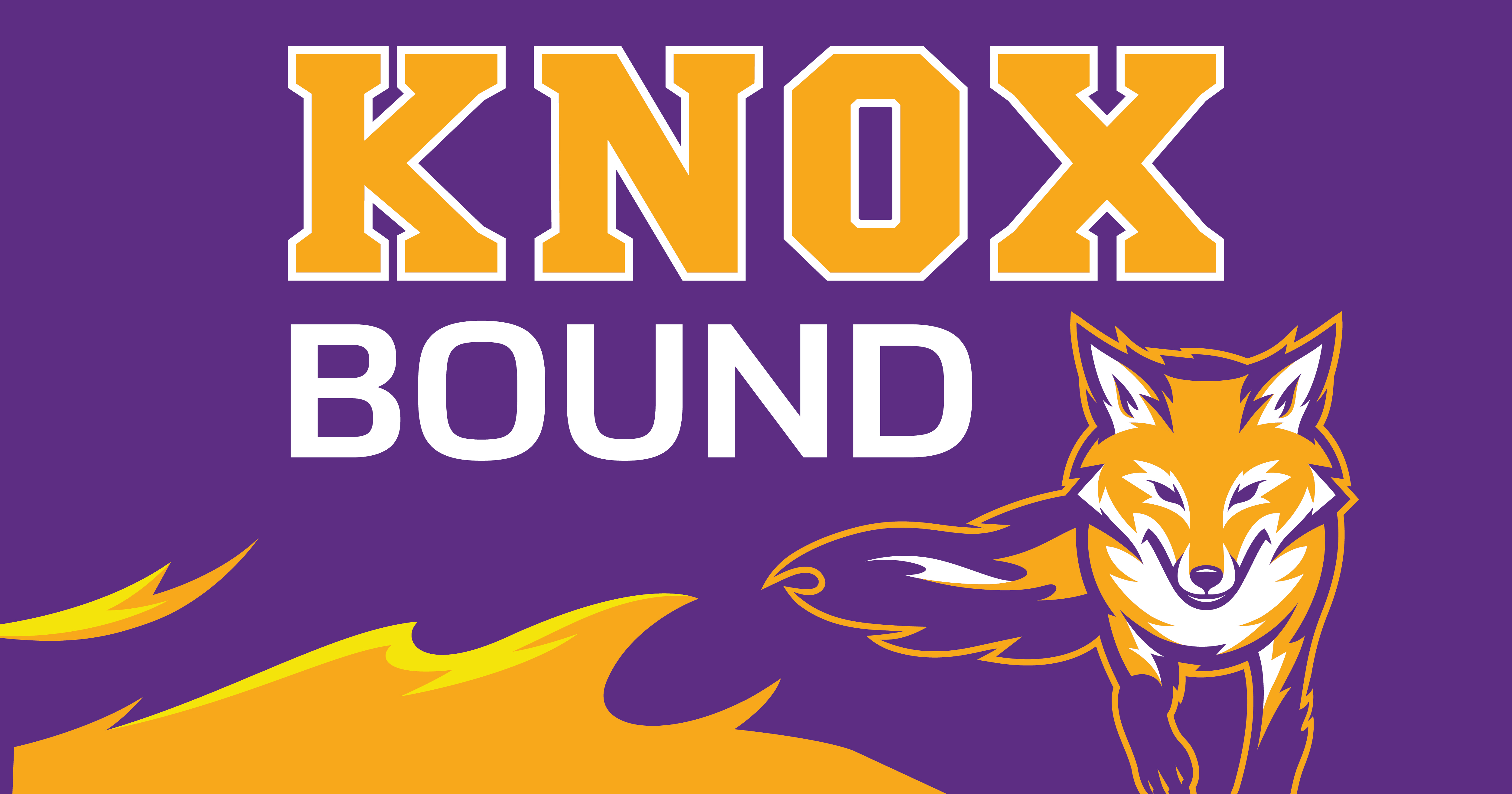 Digital Swag | Knox College